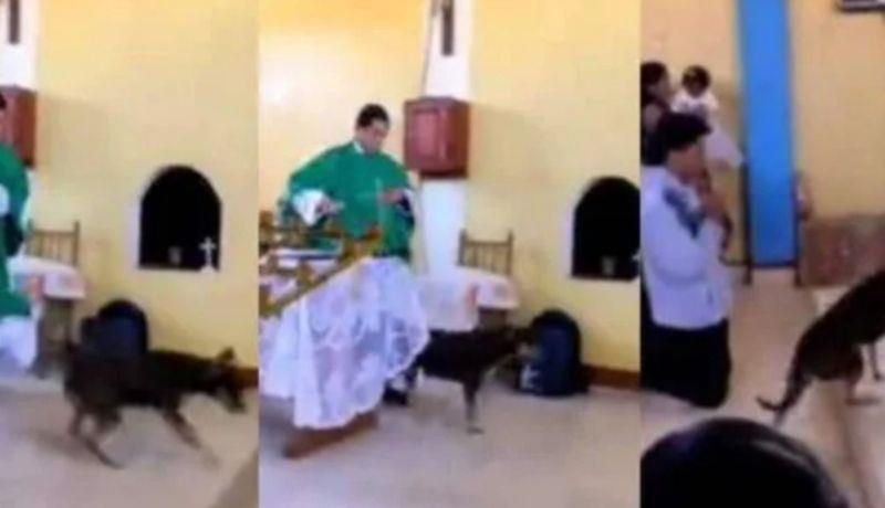 VIDEO: Evidencian a sacerdote de Perú por patear a un perro en misa ...
