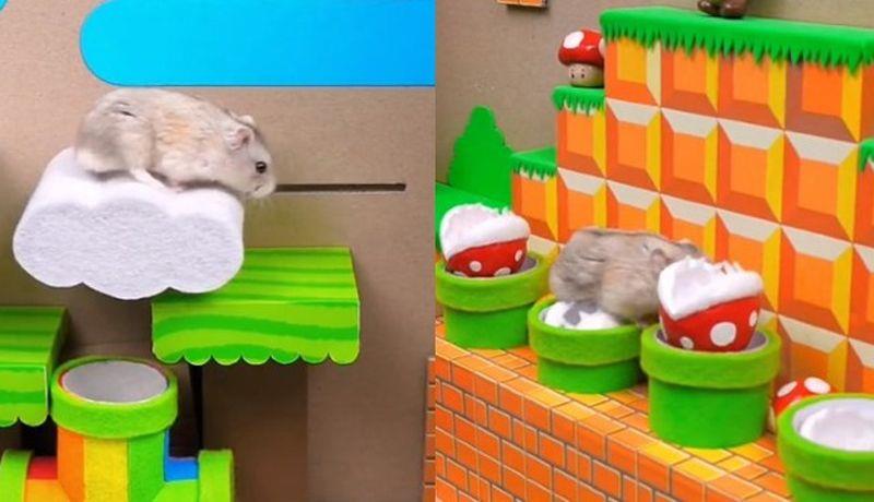 Hámster atraviesa mundo de Mario Bros - Uniradio Informa