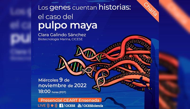 Los genes cuentan historias: el caso del pulpo maya - Uniradio Informa