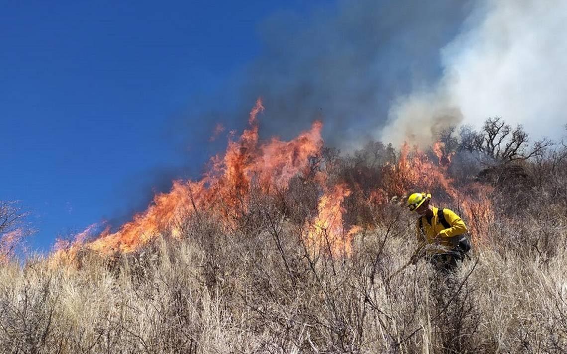Incrementan 150% incendios forestales en Tijuana; llaman a mantener ...