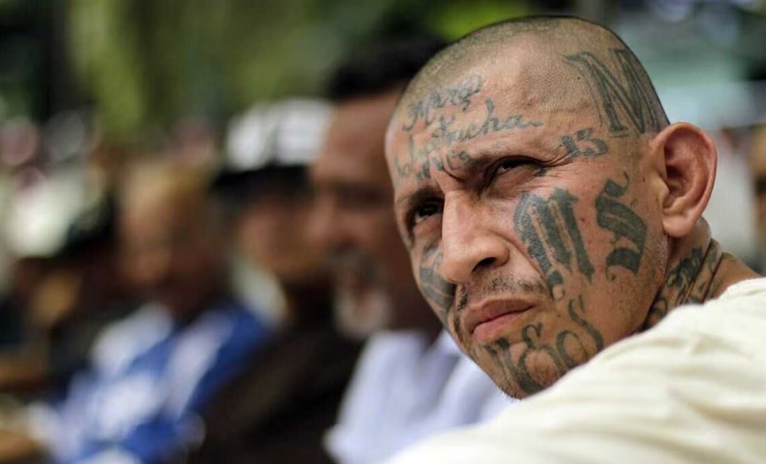 Qué es la Mara Salvatrucha y qué significa el número 13 - Uniradio Informa