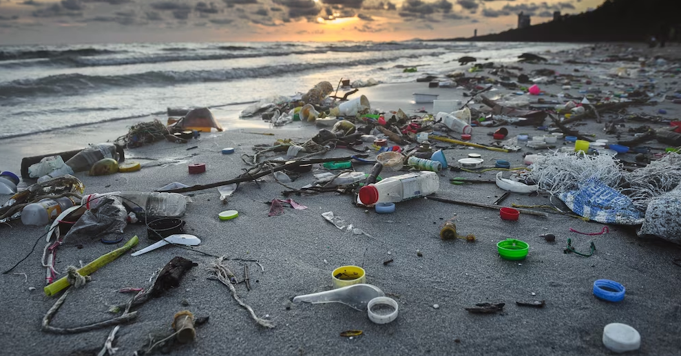 Cuencas hídricas y costas de México, contaminadas con plásticos: ONU ...