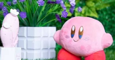 Kirby, uno de los personajes más tiernos y queridos de la familia ...