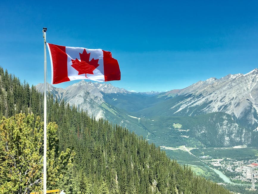 Reprocha López Obrador a Canadá imposición de visa a mexicanos en ...