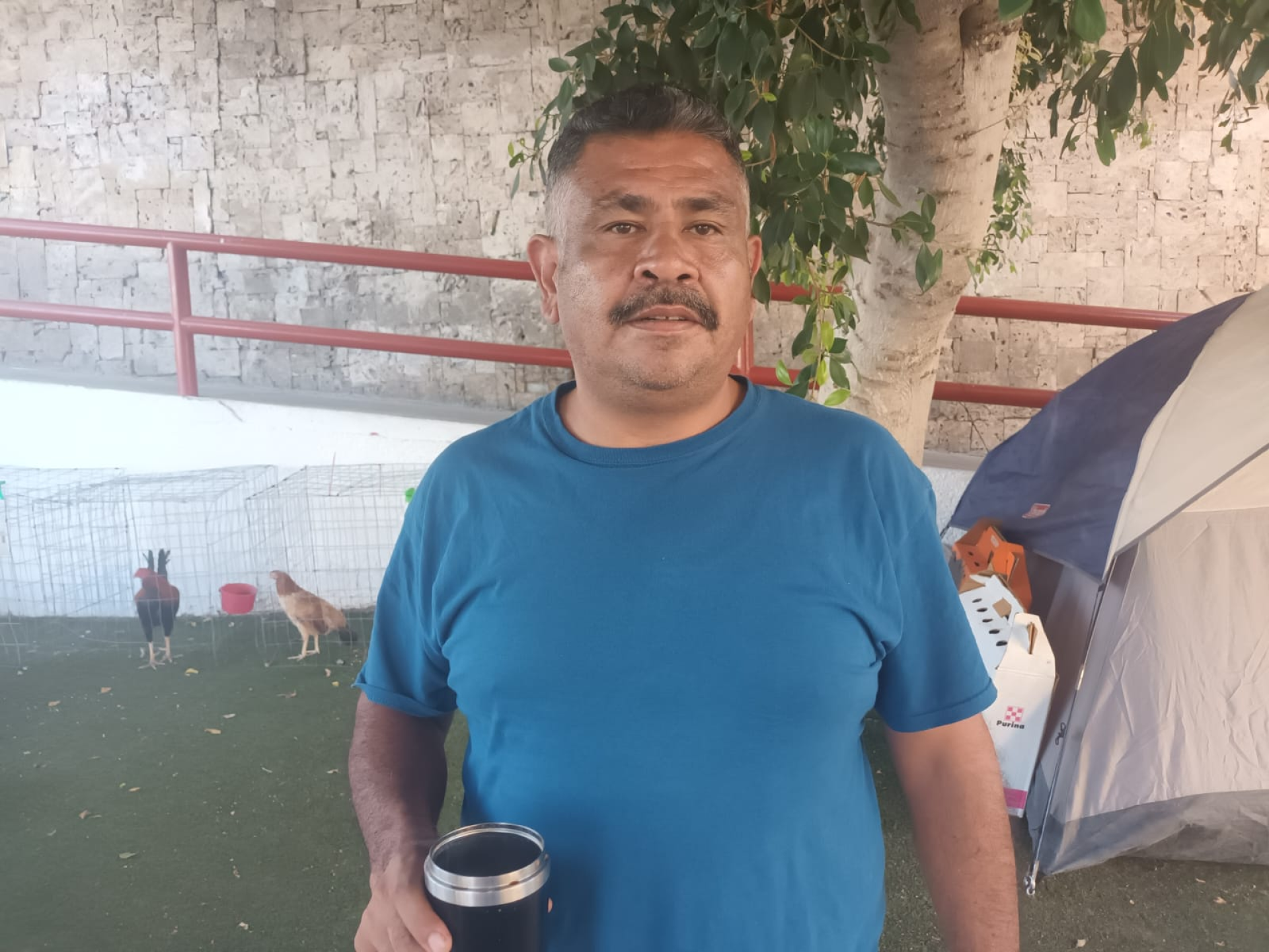 Galleros alistan nueva marcha en Hermosillo con gente "de todo México ...