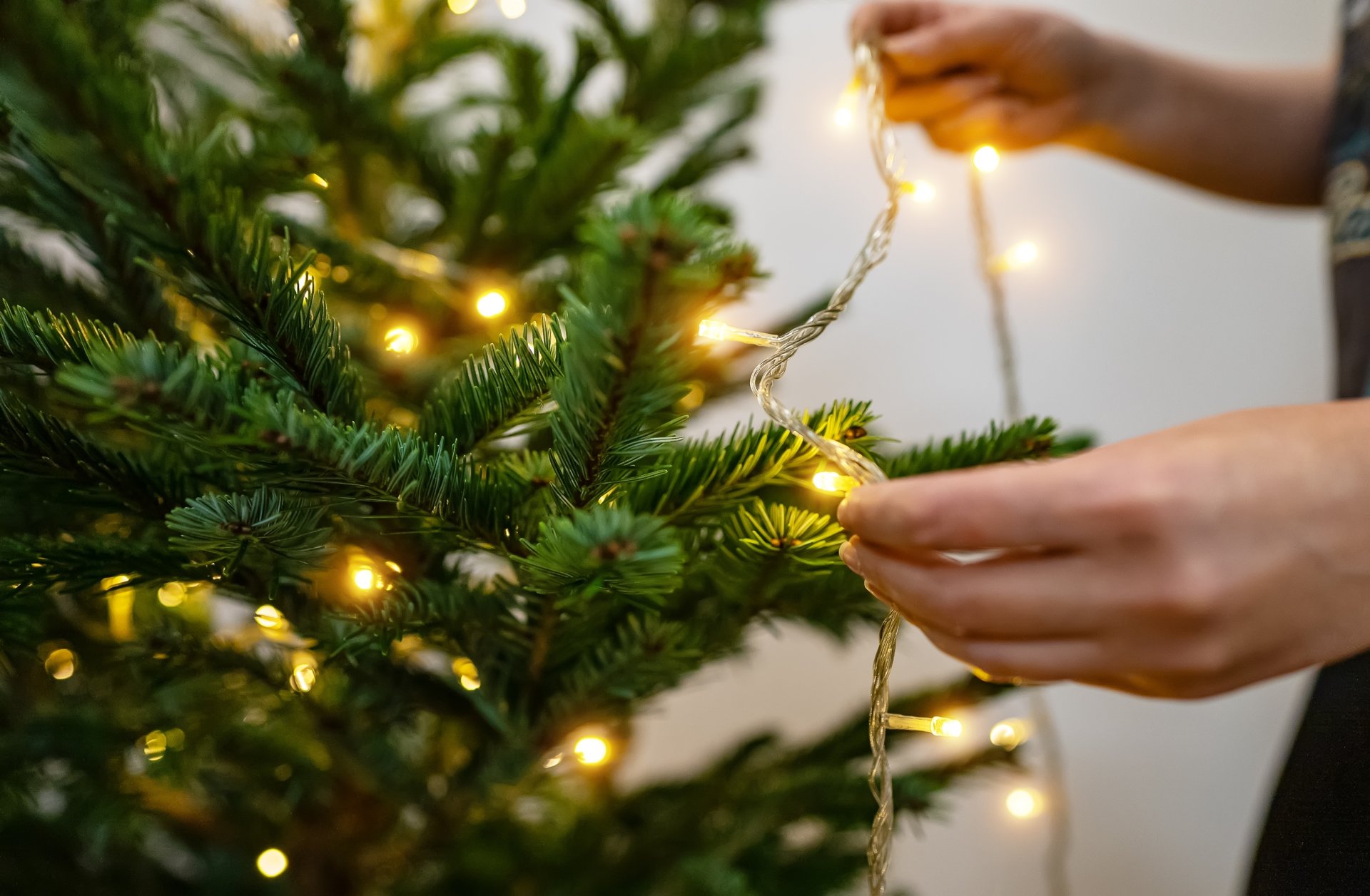 El costo de las luces de navidad ¿Ya cambiaste tus foquitos a led ...