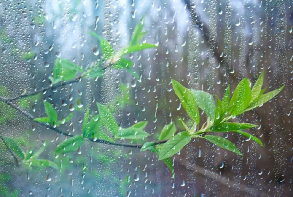 ¡Peligro latente! Evita usar agua y electrónicos durante tormentas de ...