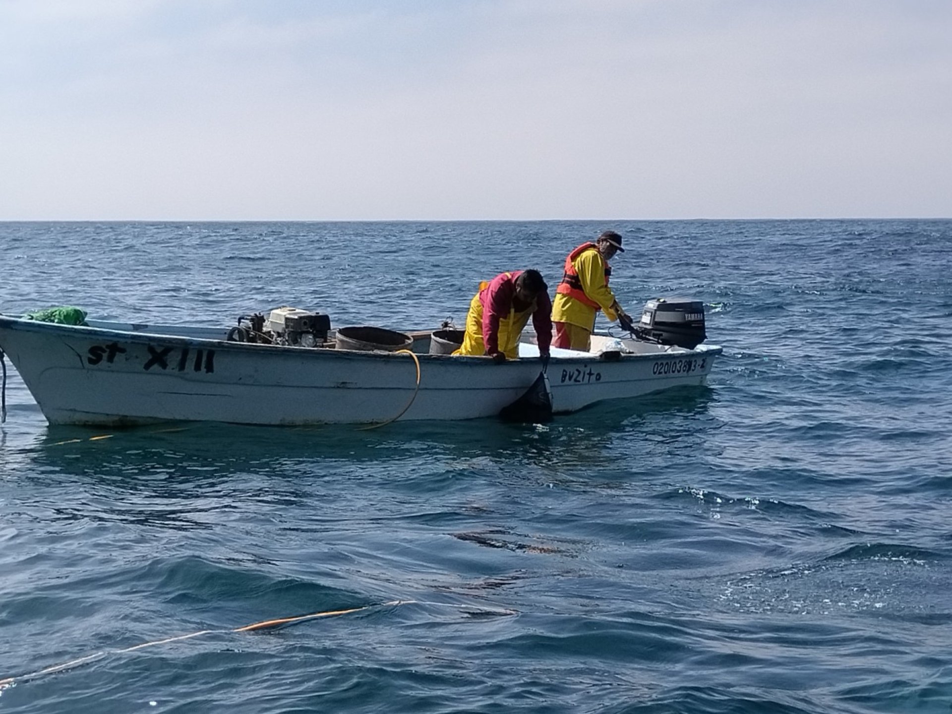 Darán taller de seguridad en buceo para pesca comercial en el Rosario ...