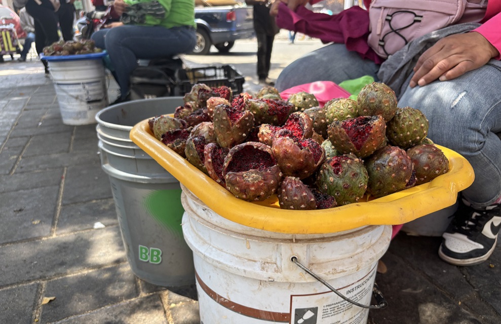 La pitaya conquista Hermosillo; arranca temporada con ventas récord ...